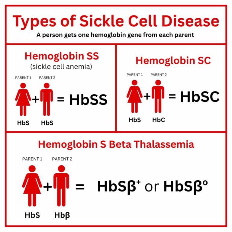Overview of Sickle Cell Disease – Sickle Cell Information Center